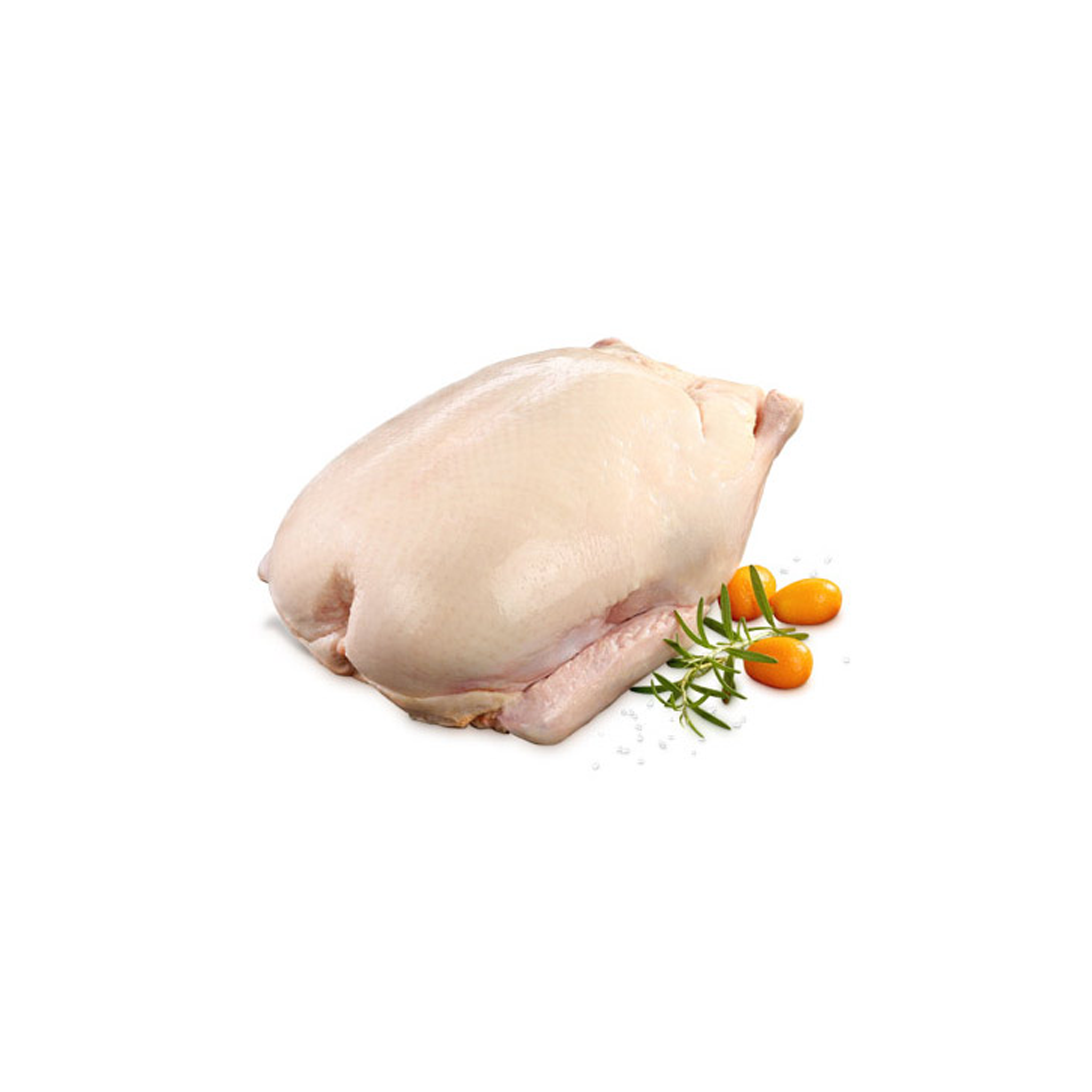 Frozen Duck Each – Asia Continental